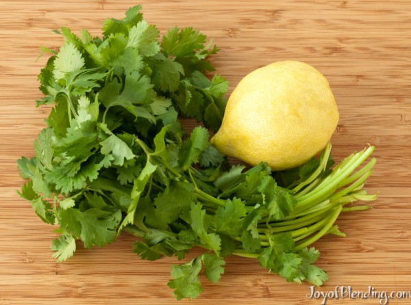 Refresh your savory blends with Cilantro - Joy of Blending